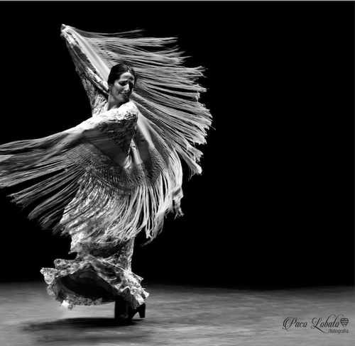 flamenco dance in portland and trips to spain | experienceflamenco