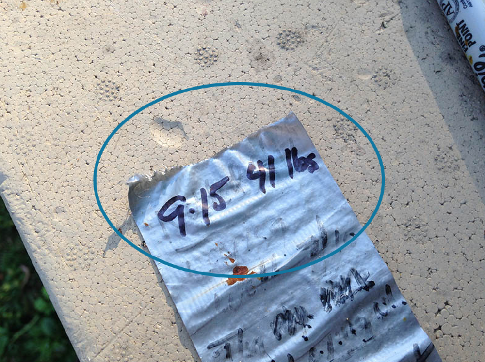 An Easy, Cost-Effective Method For Weighing Your Bee Hives — TheBee.Farm