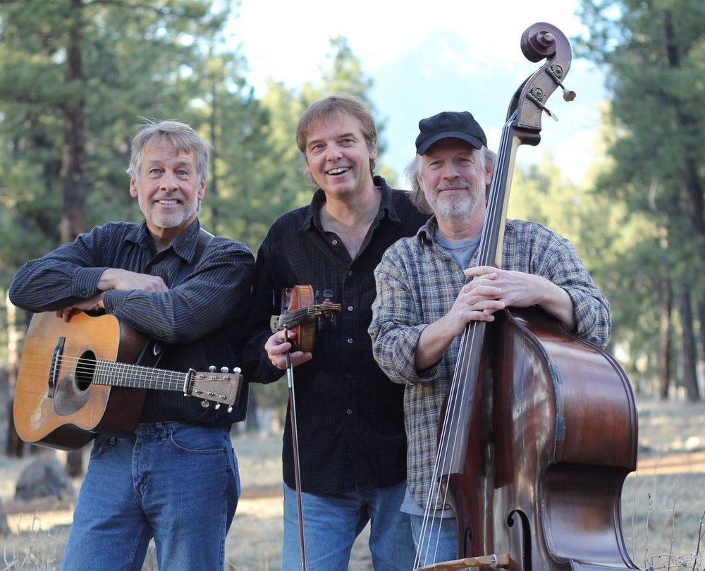 Bio — Peter McLaughlin