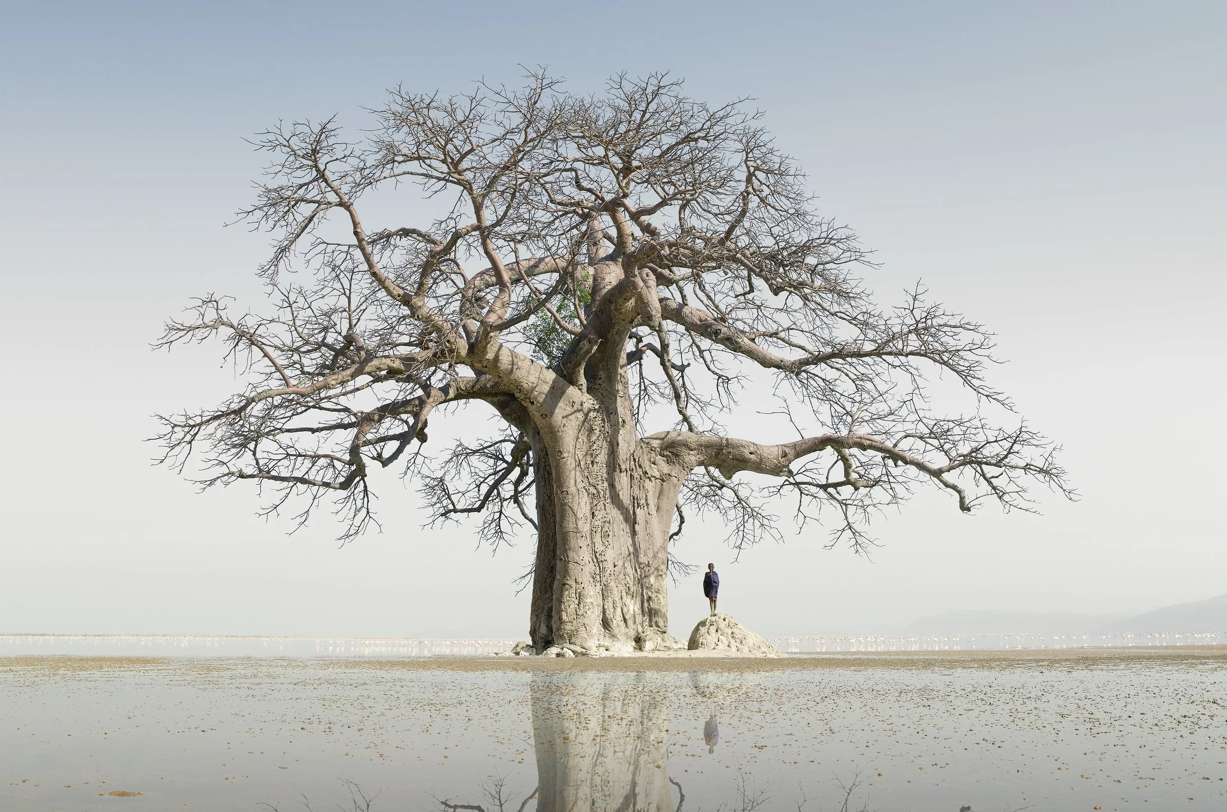 OVERVIEW — Christopher Wilson Photography