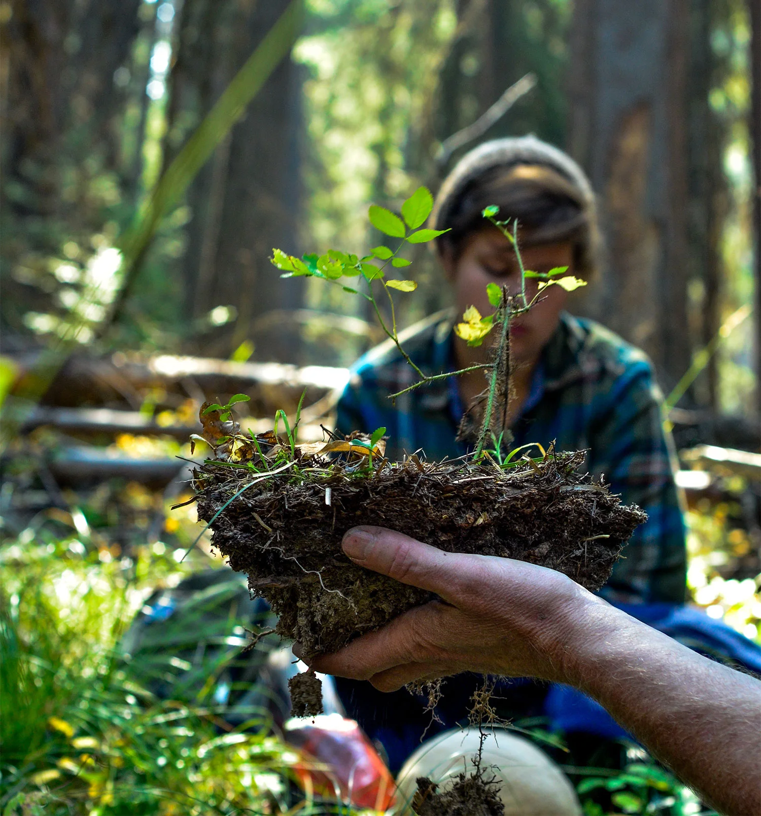Conservation Overview — Swan Valley Connections