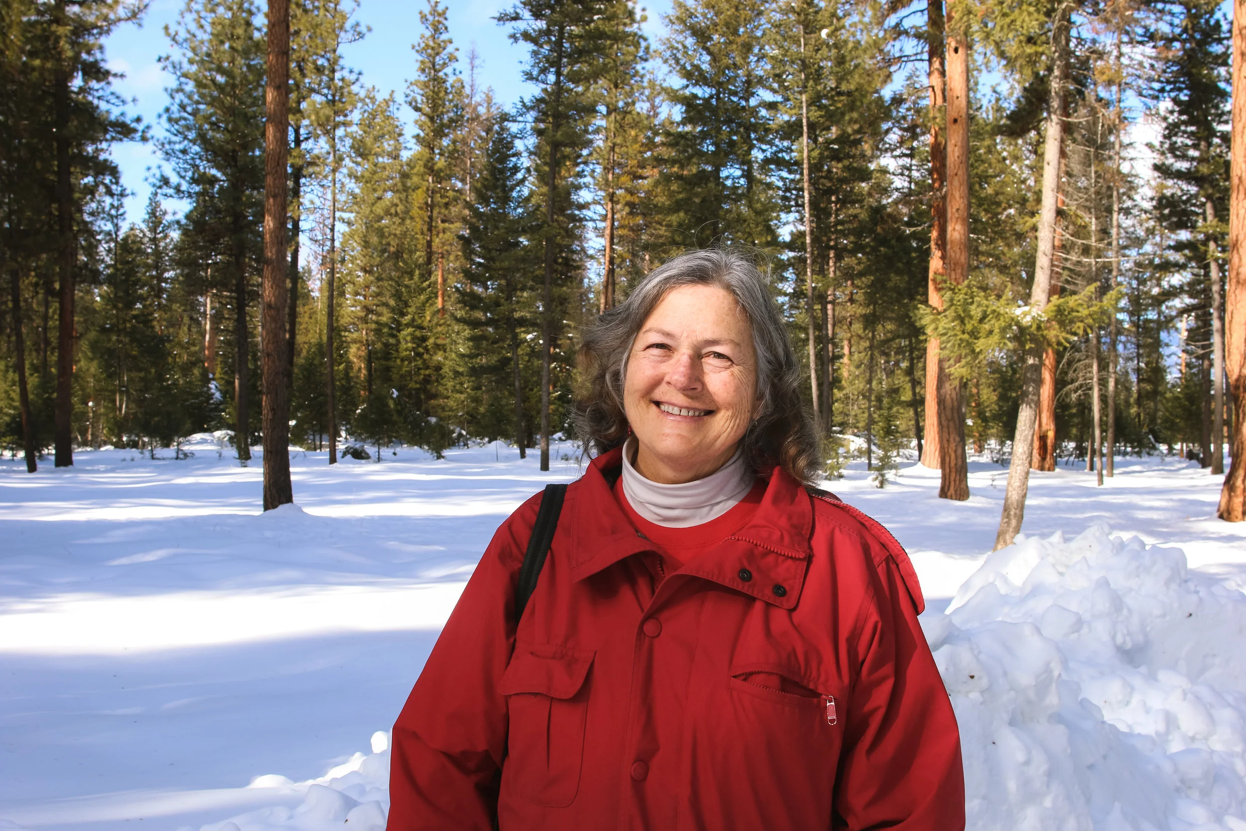 Board — Swan Valley Connections