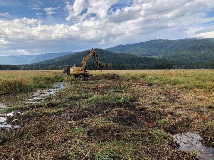 Wetland Restoration — Swan Valley Connections