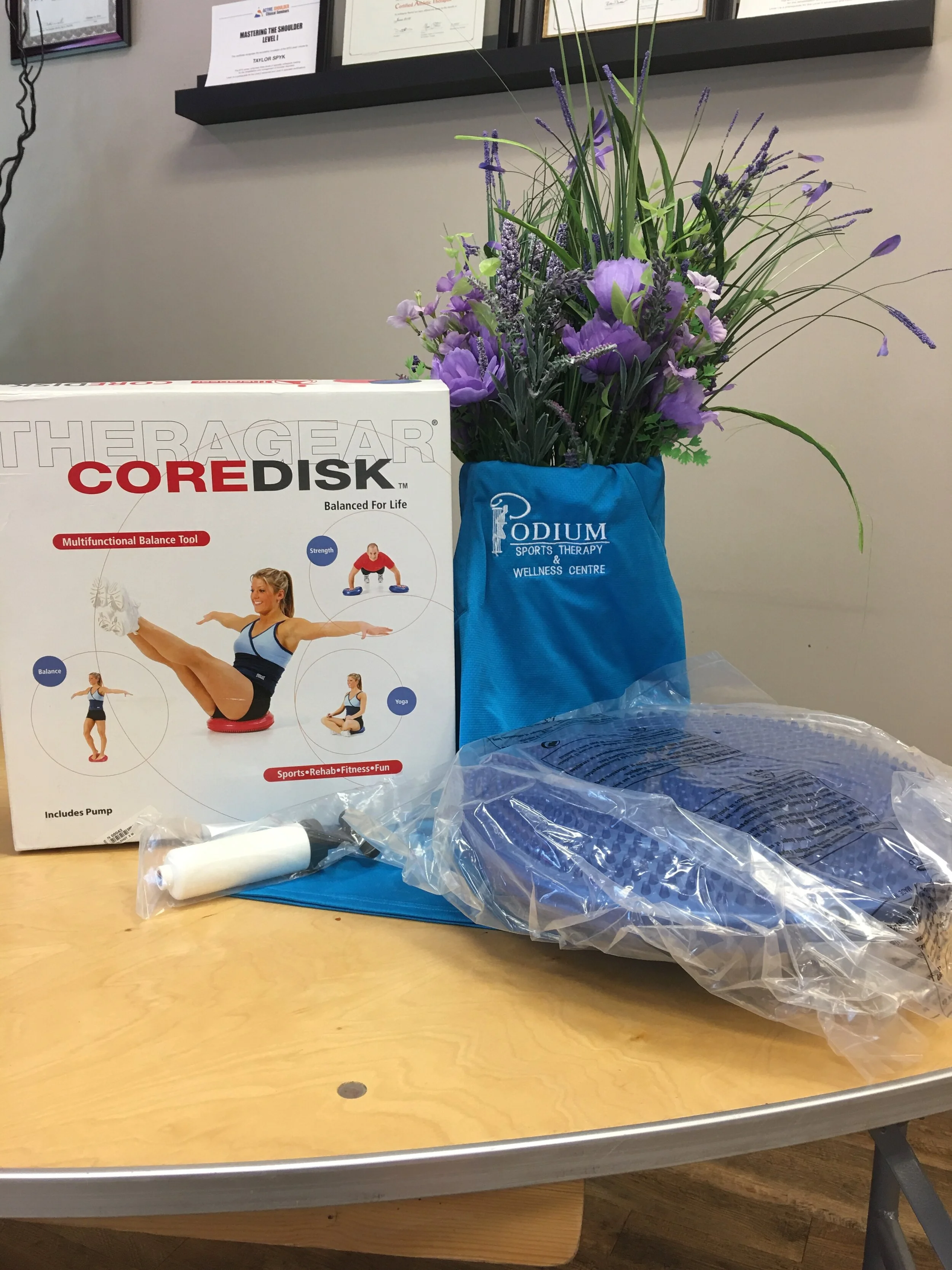 PODIUM SPORTS THERAPY + WELLNESS CENTRE - TheraGear Core Disk- 35cm ...