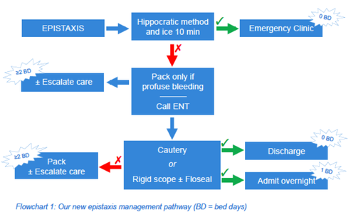Epistaxis — entsho.com