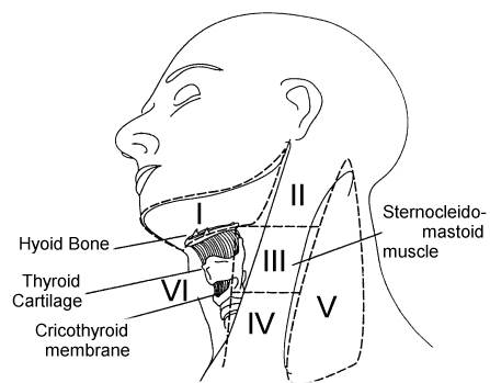 Overview of neck lumps — entsho.com