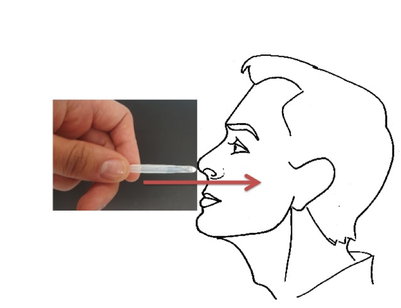 Posterior nasal packing — entsho.com