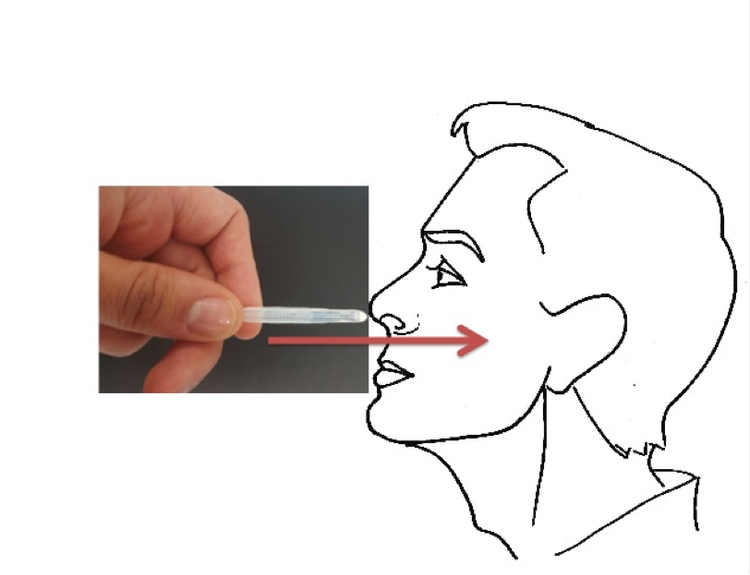 Posterior nasal packing — entsho.com