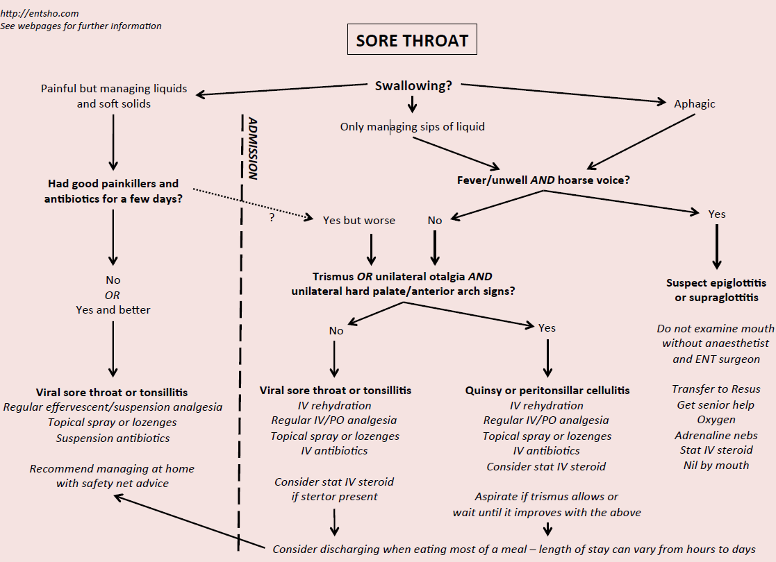 Acute sore throat — entsho.com