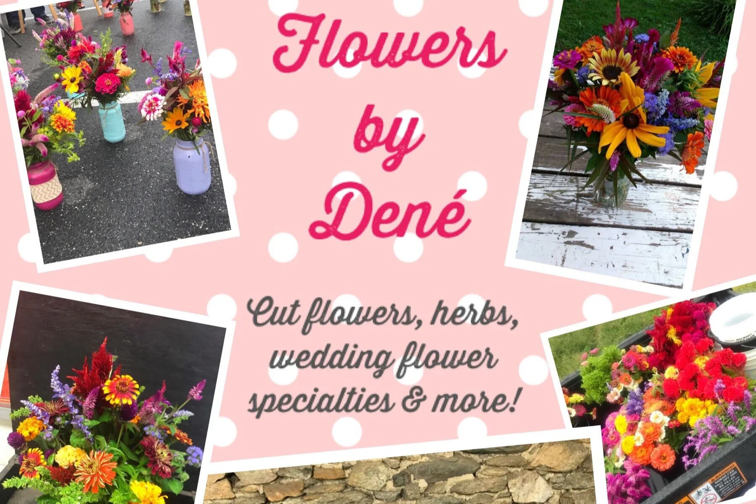 Baltimore — Maryland Grown Flowers