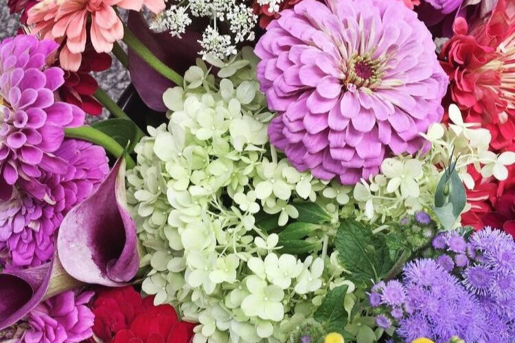 Baltimore — Maryland Grown Flowers