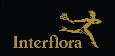 Tudor House of Flowers