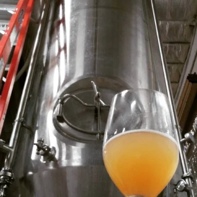 Meadmaking Made Easy | San Diego Mead Honey Wine