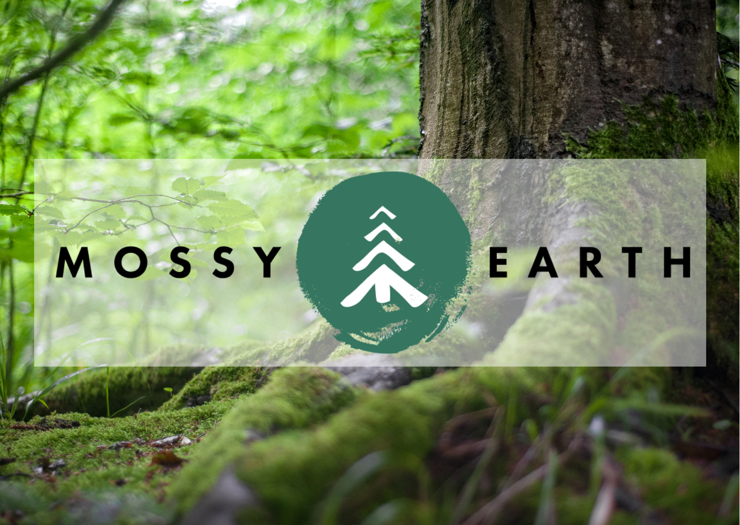 ECO YOGA SURF