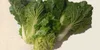 Veggie Guide — Our Harvest Cooperative