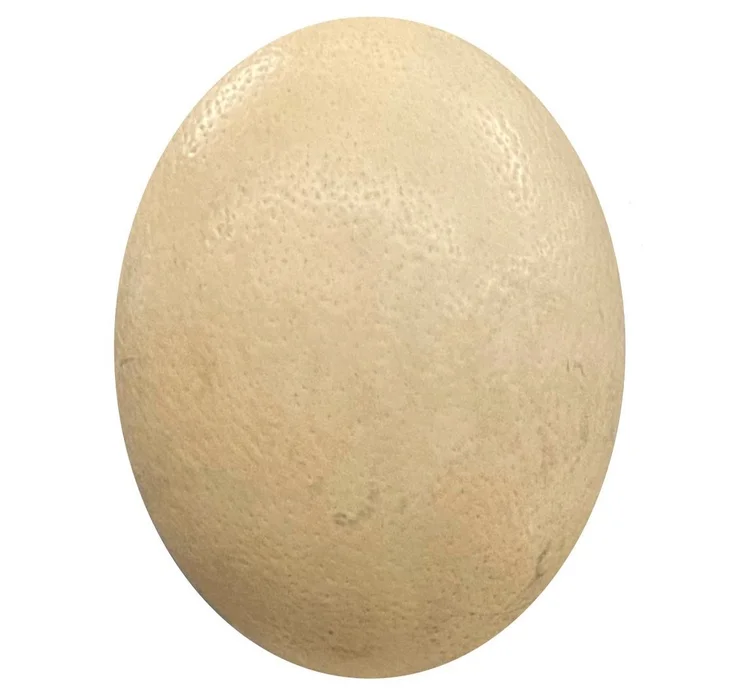 Easter Eggs: Symbols of Rebirth and Renewal — Glencairn Museum