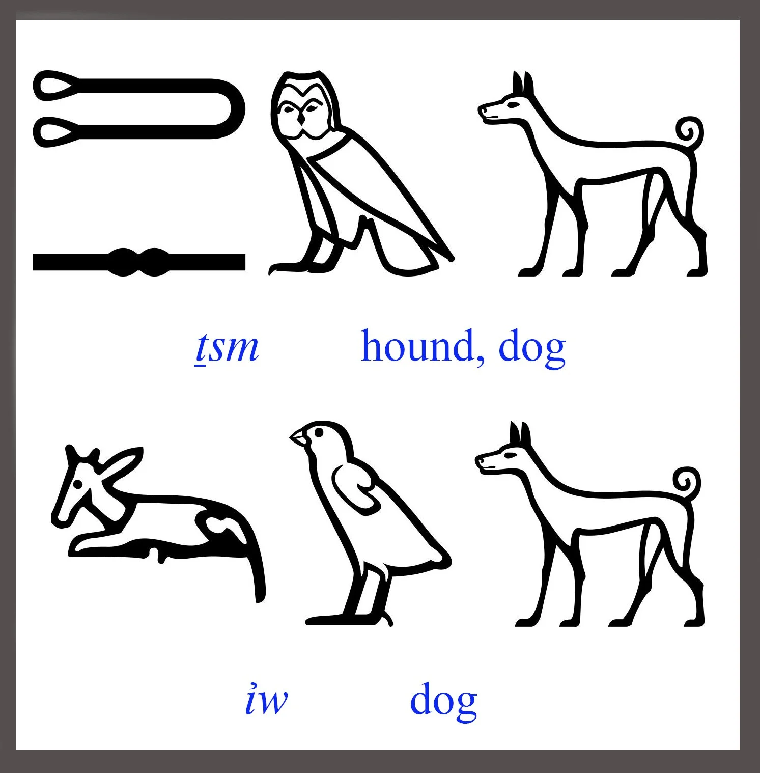 Companions and Guardians: Dogs and Jackals in Ancient Egypt — Glencairn ...