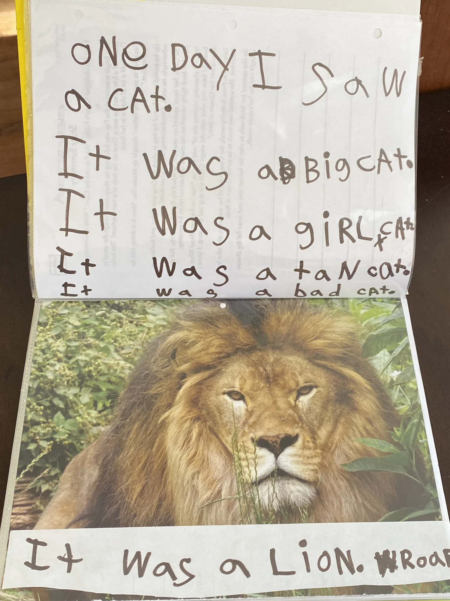 Online Writing Classes for Kids Ages 5-18