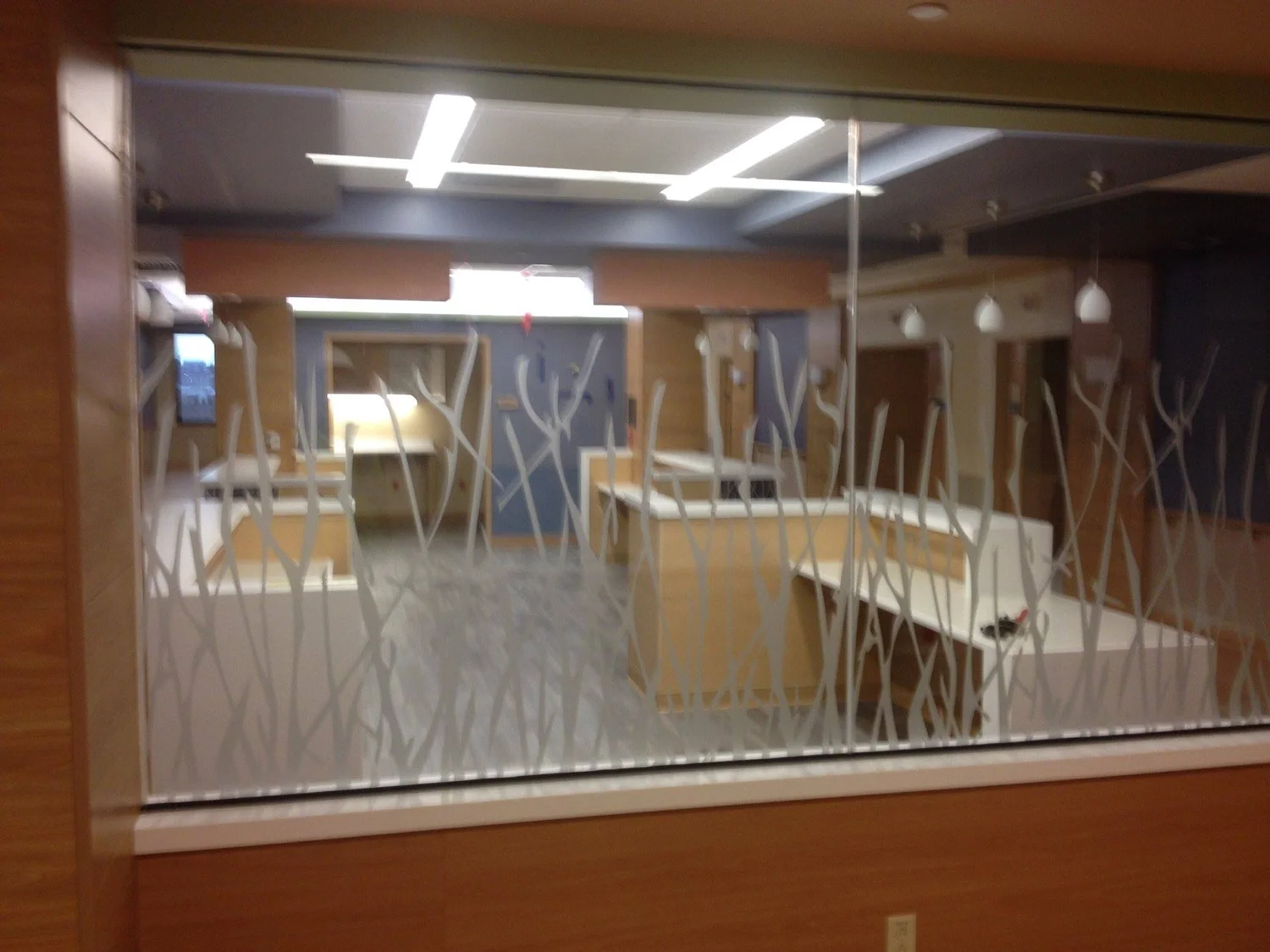 3M Decorative Fasara Film & Customized Graphics — Solar Vision