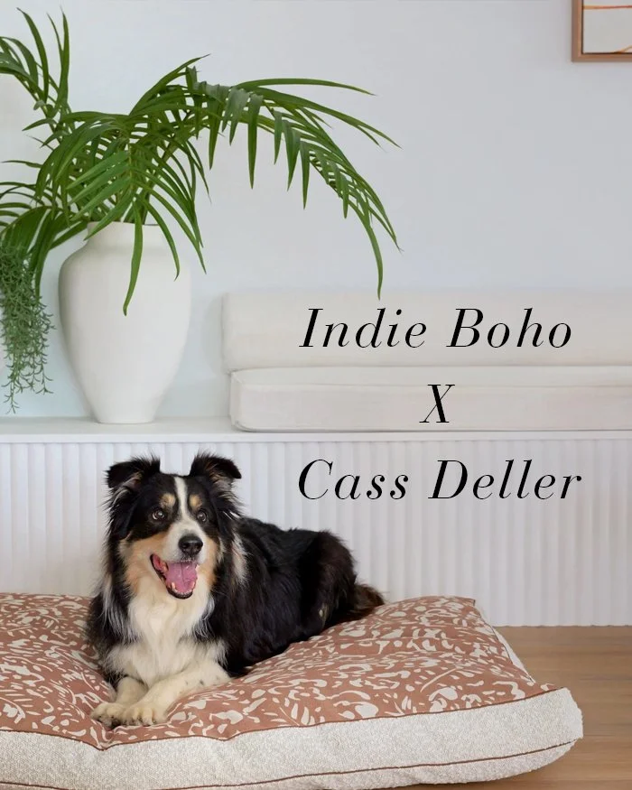 JOURNAL — Cass Deller