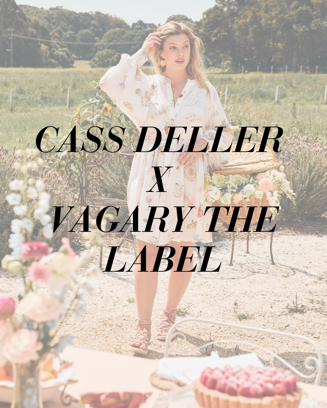 JOURNAL — Cass Deller