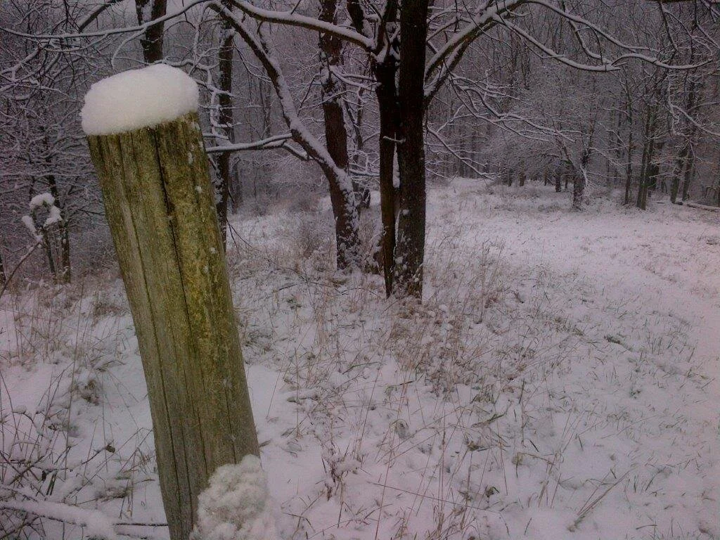 WV Day Photo Contest Winners — Cockayne Farmstead