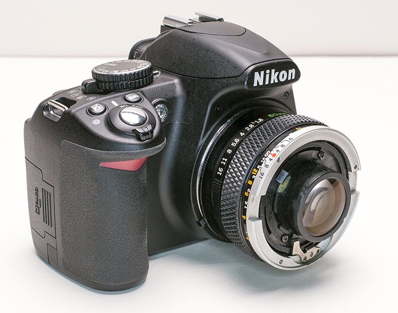 Introduction to macro photography — A Year With My Camera