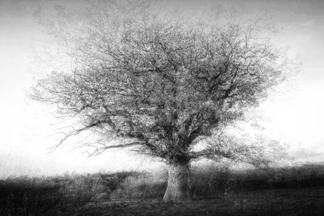 The Pep Ventosa technique — A Year With My Camera