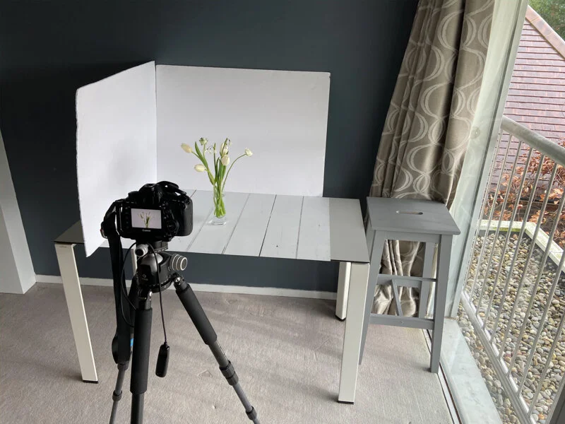 23 indoor photography projects — A Year With My Camera