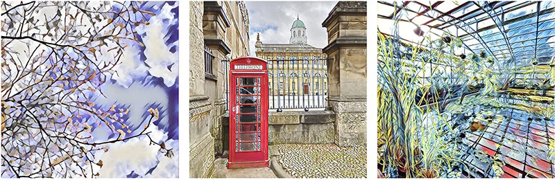 23 indoor photography projects — A Year With My Camera