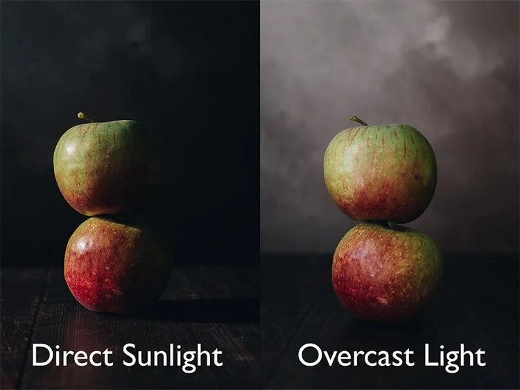 Window light still life photography: getting started — A Year With My ...