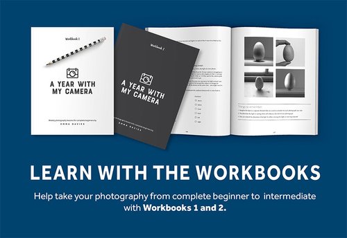 November 2020 course launch! — A Year With My Camera
