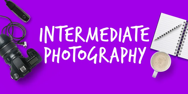 A Year With My Camera