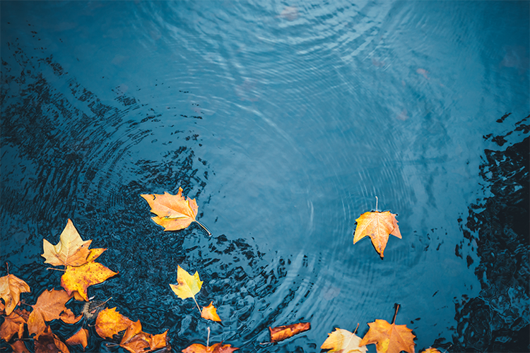 3 colour tips for photographers — A Year With My Camera