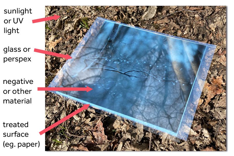 Beginner's cyanotype photography — A Year With My Camera
