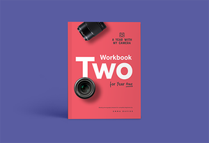 The Books — A Year With My Camera