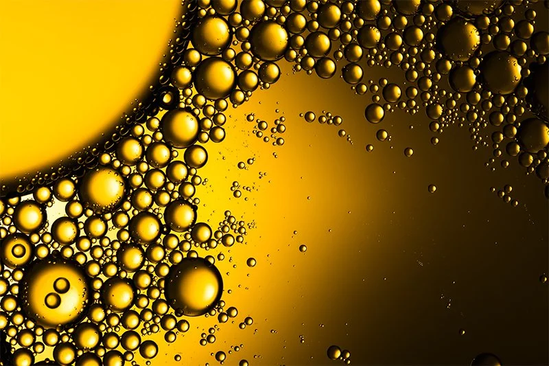 Introduction to macro photography — A Year With My Camera