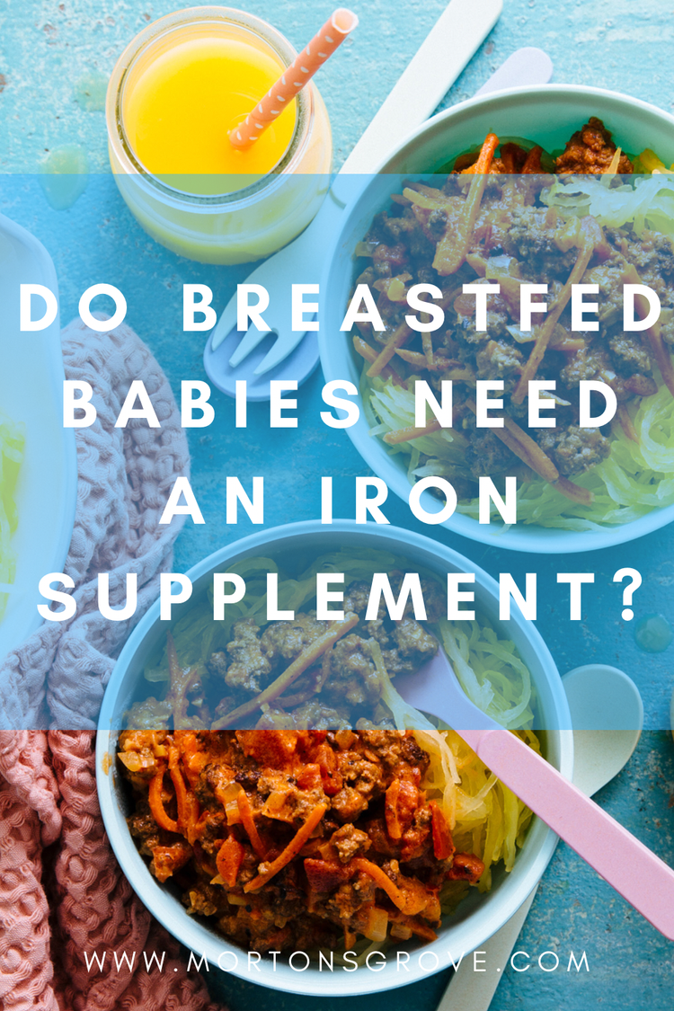 Raising Adventurous Eaters: Breastfeeding, BLW, and Iron — Morton's Grove