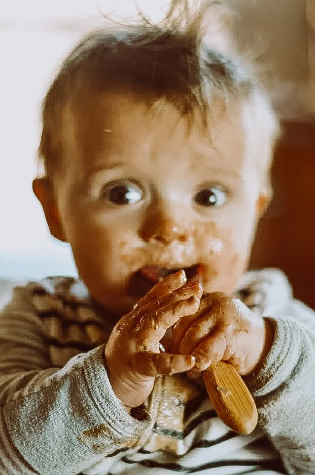 No prep, nutrient dense first foods — Morton's Grove