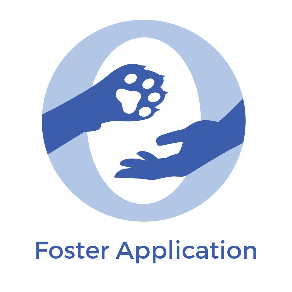 Foster Application — Ollie's Angels Animal Rescue