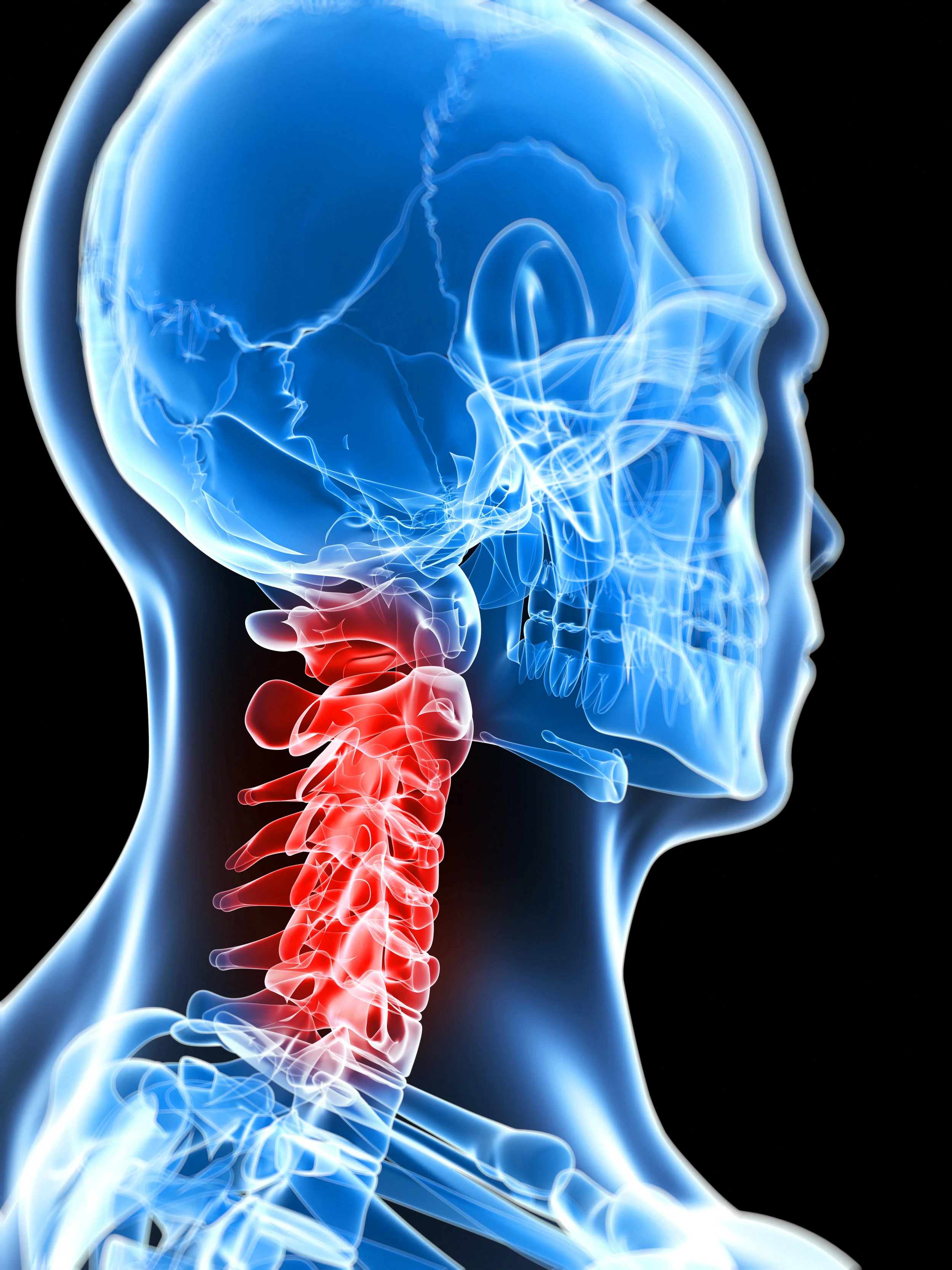 Integral Physical Therapy