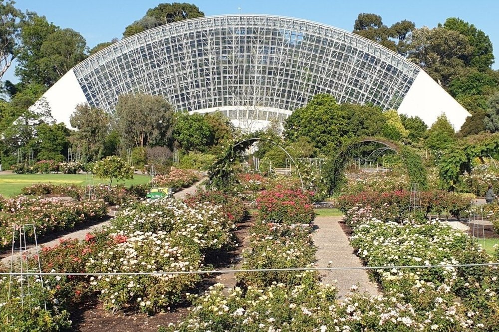 Guided Walks — Adelaide Park Lands Association