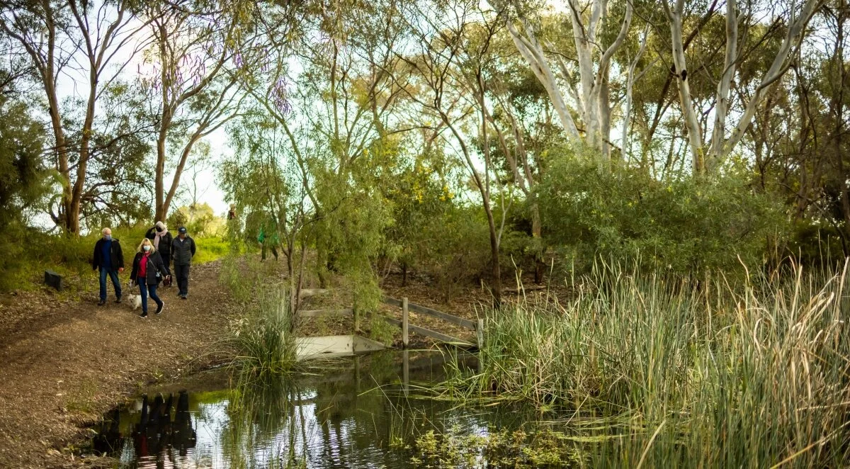 Through a cemetery and beyond — Adelaide Park Lands Association