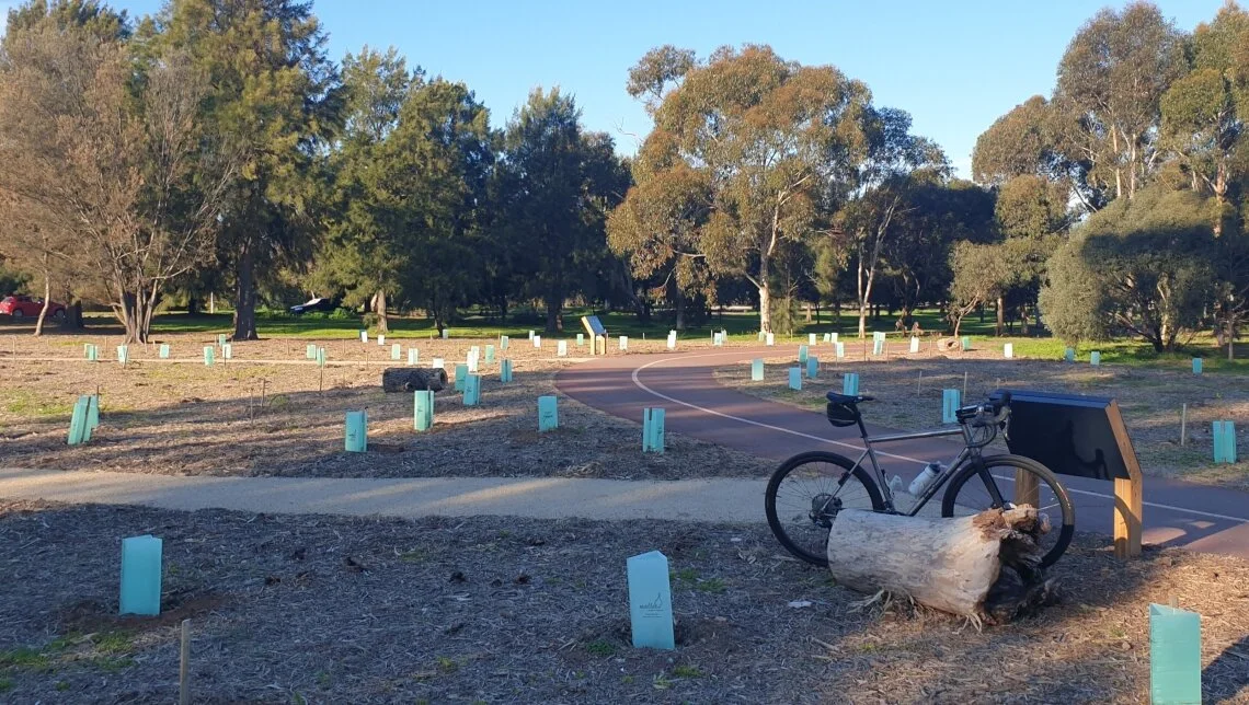 New urban forest emerging — Adelaide Park Lands Association