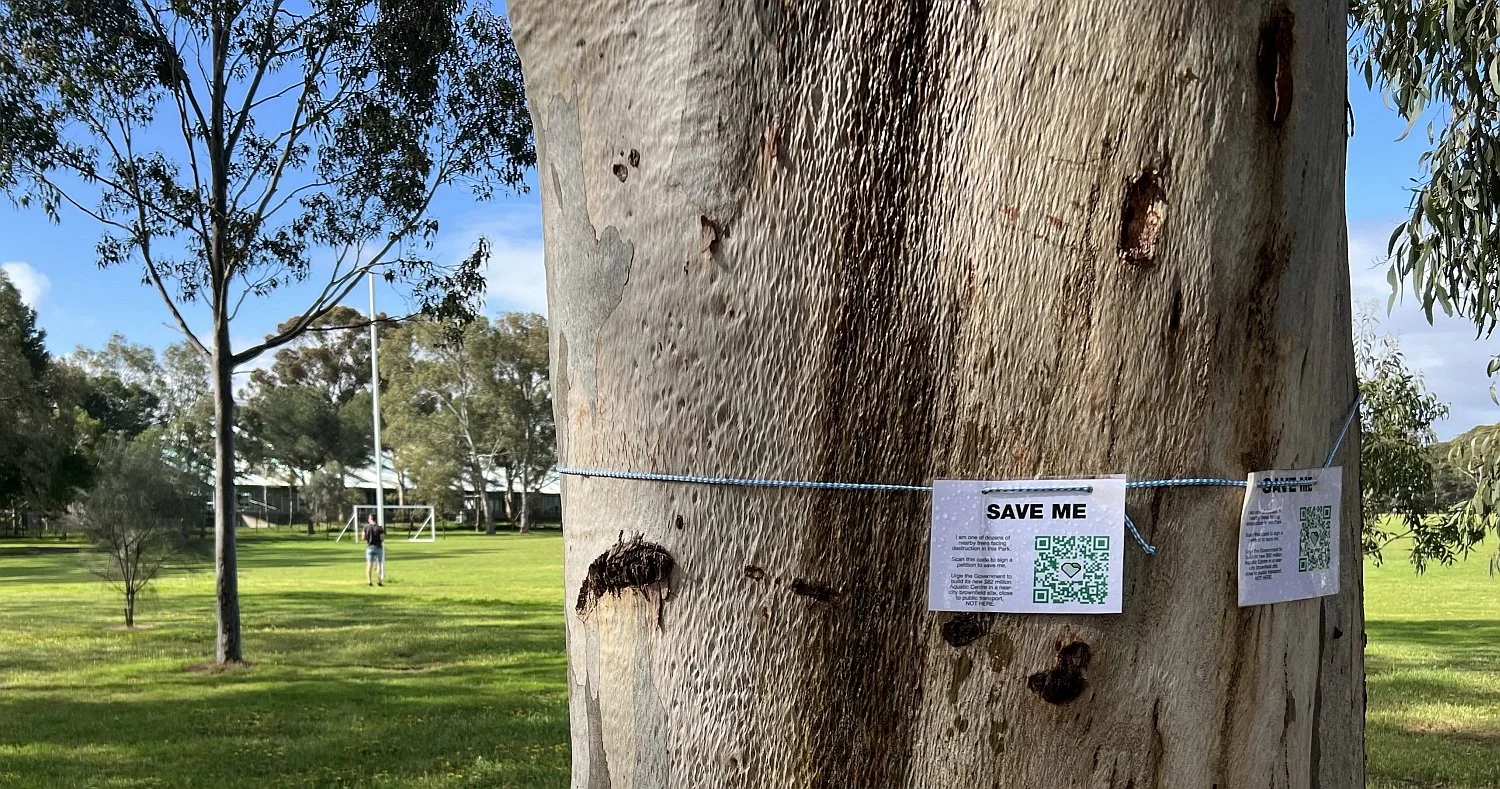 Cognitive dissonance on your tree canopy — Adelaide Park Lands Association