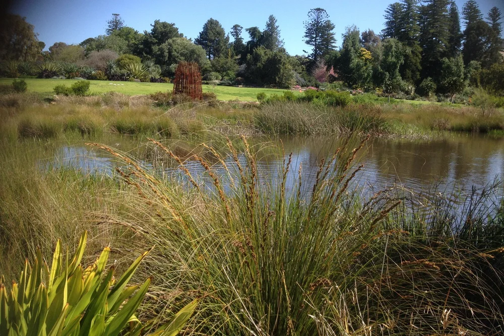 Park 11 Botanic Garden Tour — Adelaide Park Lands Association