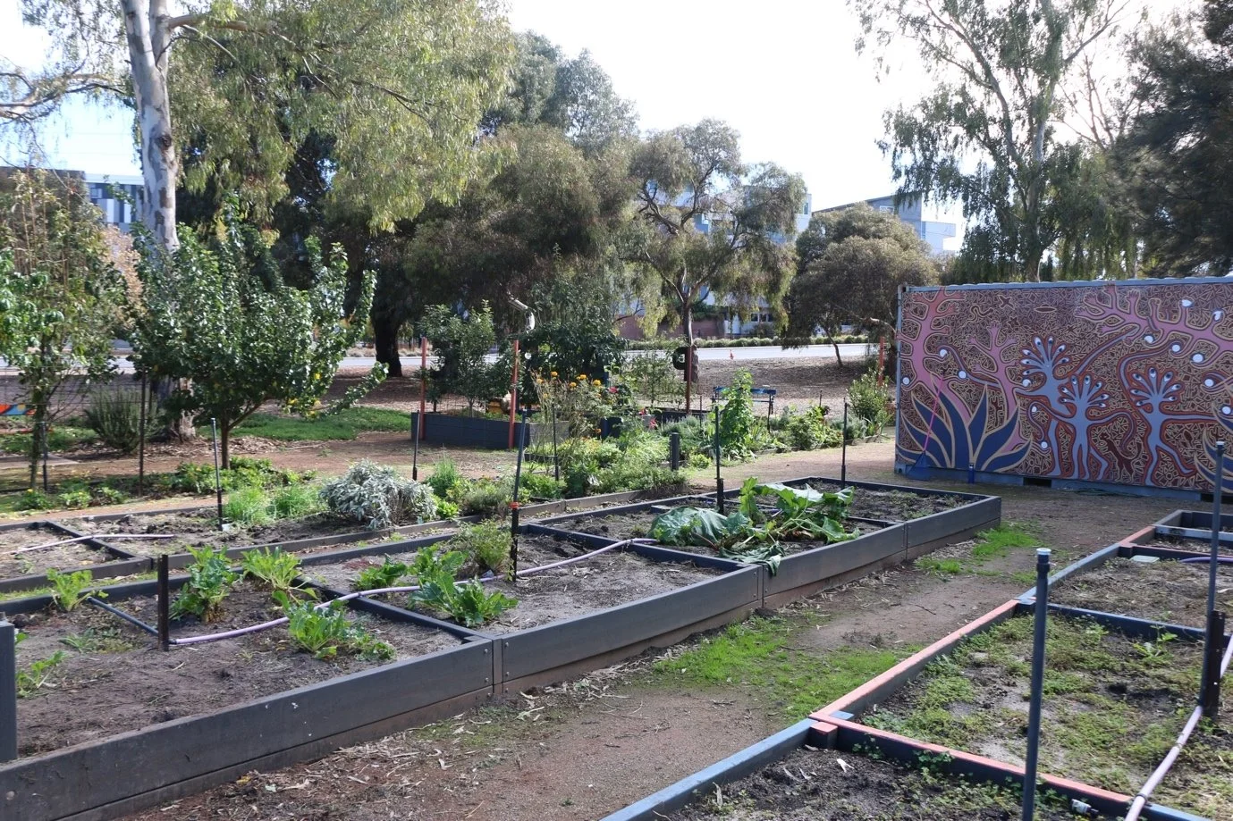 Parks 27A and 27B Tour — Adelaide Park Lands Association