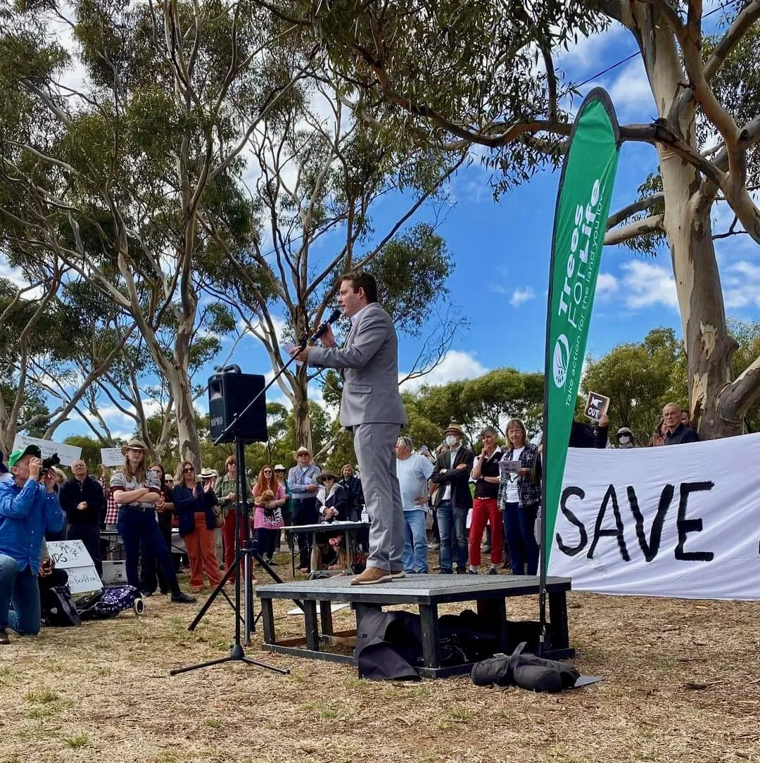 New Deputy Mayor to boost heritage push — Adelaide Park Lands Association