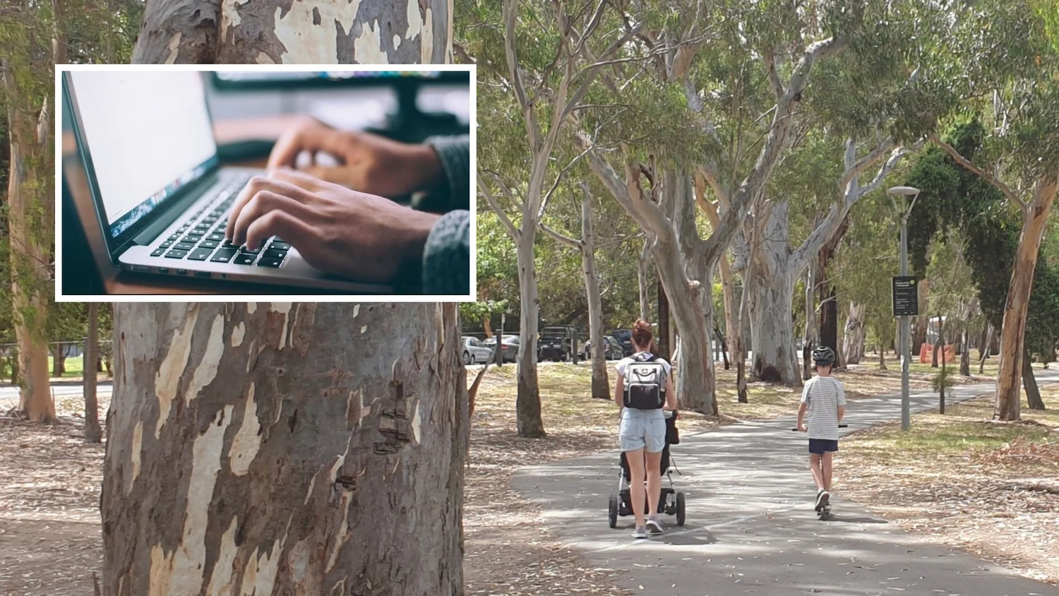 Park funding slash? — Adelaide Park Lands Association