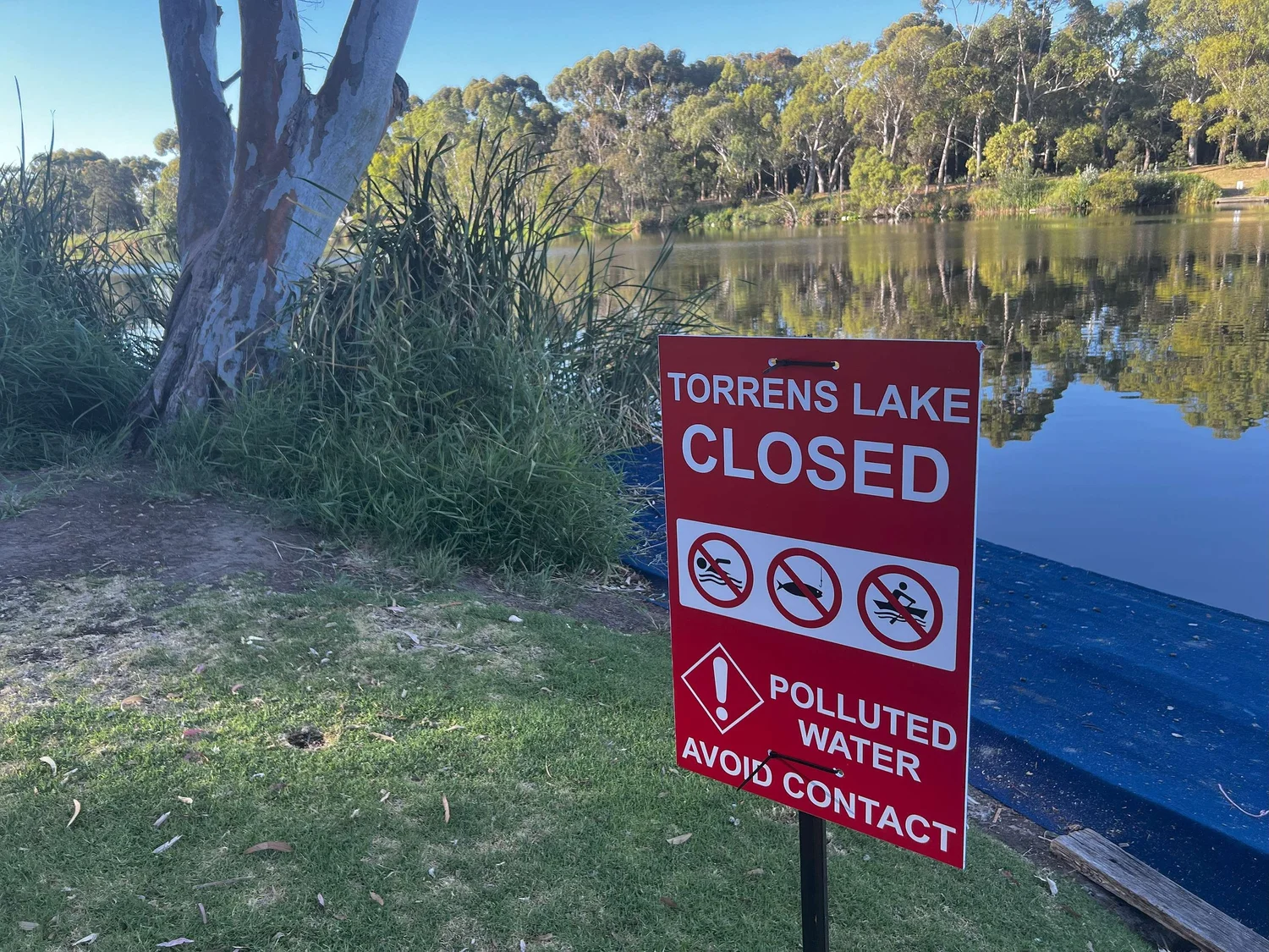 Remember when: Swimming in the Torrens — Adelaide Park Lands Association